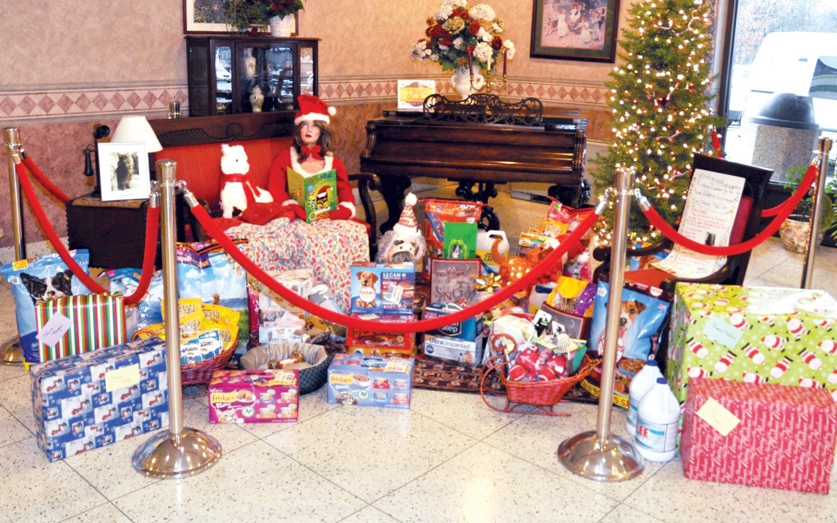 Humane Society receives donations in cat’s memory | News, Sports, Jobs ...